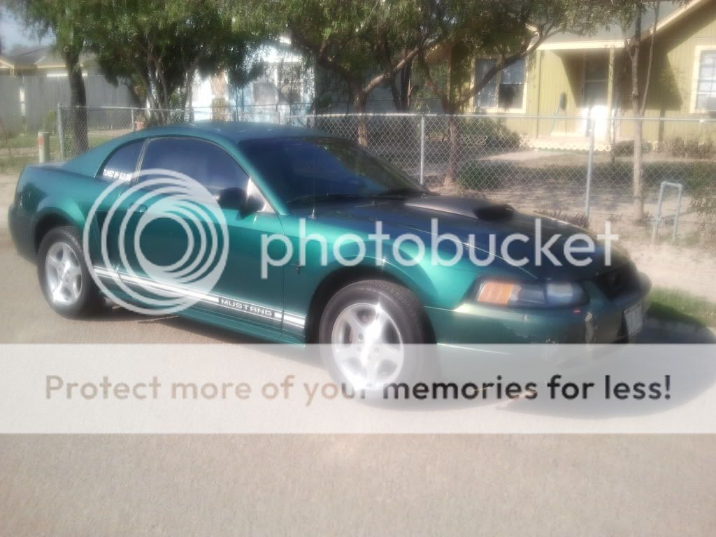 my 00 3.8 | Modded Mustang Forums