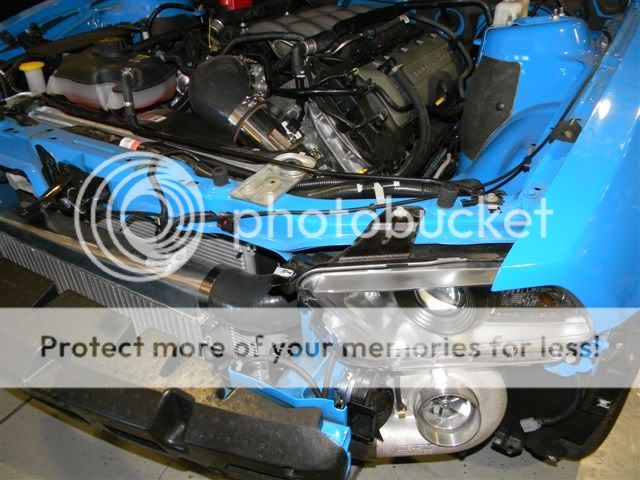 Hellion Power Systems - Making Power and then some | S197 Mustang Forum ...