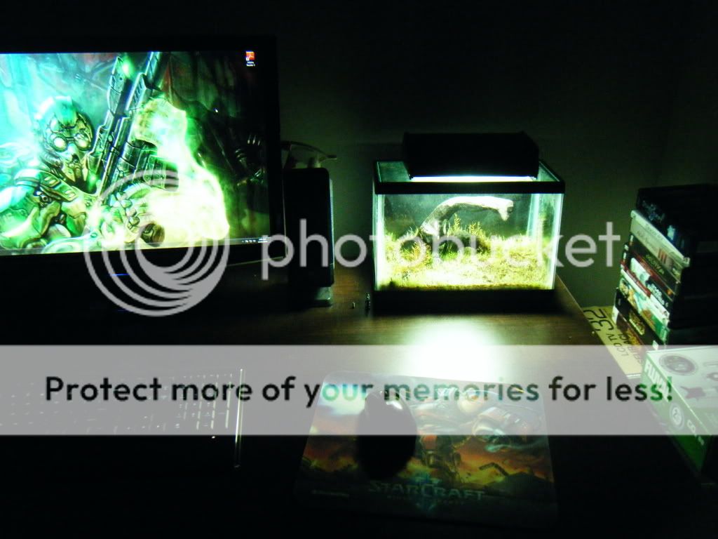 Computer Aquarium | Aquatic Plant Forum